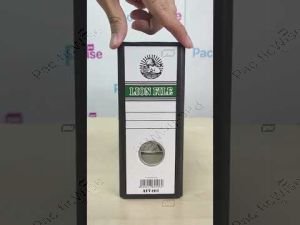 Voucher File/Lion/AFV401/File Baucar/Ring File/File Filing (3")